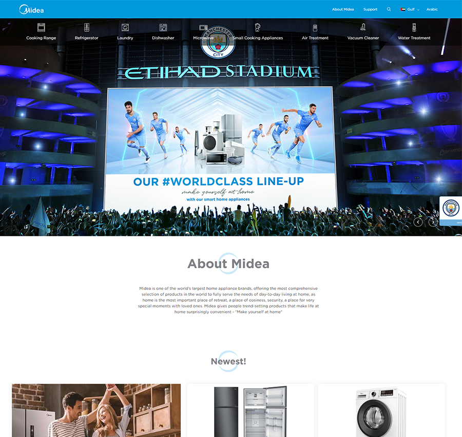 Website Design and Development | Spider Web Solutions