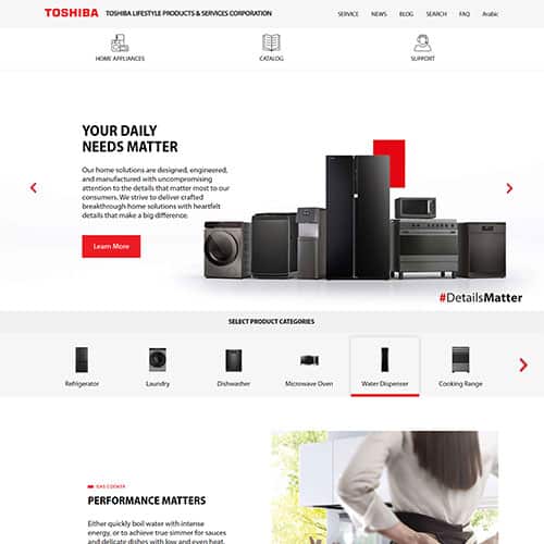 Spider Web Solutions | Case Studies | Web Development & Design